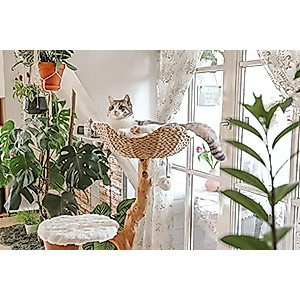 Wooden Cat Tree Tower, Modern Single Branch Cat Condo, Wood Cat Tree, Cat Climbing, Furniture for Cat, Cat Lover Gift, Cat Furniture,Cat Gift by MAU LIFESTYLE (Alpine White)