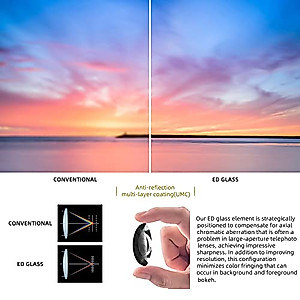 Lightdow 135mm f/2.8 FE UMC Full Frame Telephoto Lens for Canon Rebel EOS 80D 77D 70D 60D 50D 7D 6D 5D 5DS 1DS T7i T7s T7 T6s T6i T6 T5i T5 T4i SL2 and SL1 Digital SLR Cameras Black