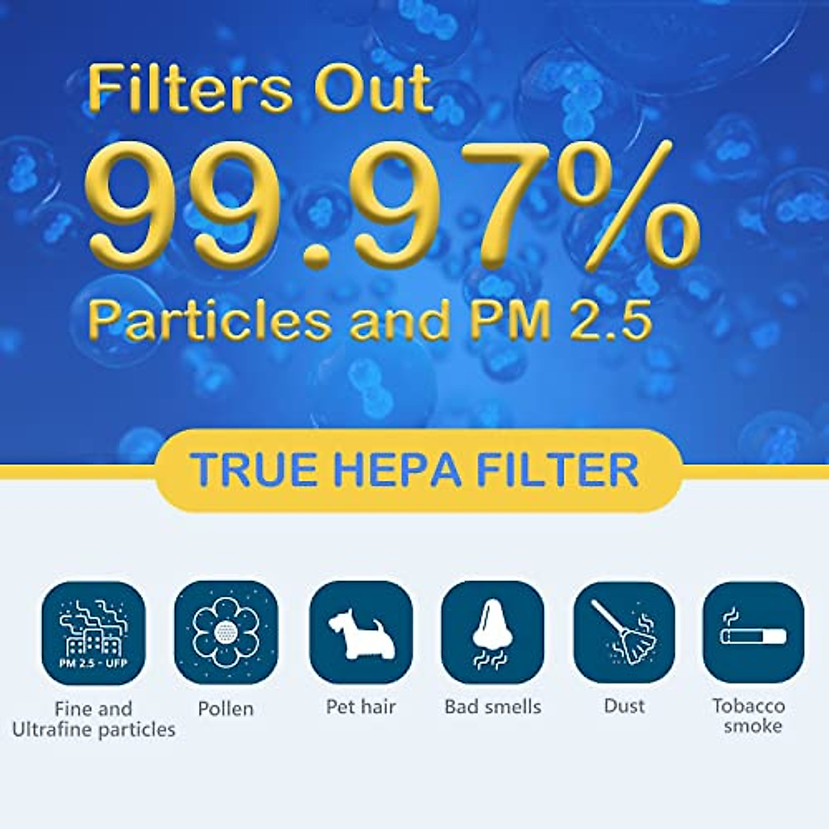 C545 True HEPA Replacement Filter S Compatible with Winix C545, B151, P150, 9300 Air Purifier, Replaces Winix Filter S 1712-0096-00 and 2522-0058-00, 2 HEPA Filter + 8 Carbon Filter