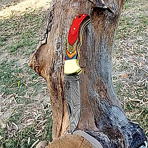 Multi Wood Unique Beautiful 6.5'' Custom Handmade Damascus Steel Brass Bolster Back Lock Folding Pocket Knife Sharpening Rod 100% Prime Quality Plus Beautiful Blue Wood Stainless Steel Pocket Knive