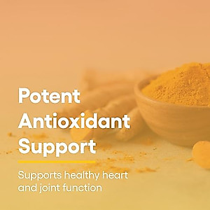 Natural Factors, CurcuminRich Theracurmin, 30 mg, Formulated for Superior Absorption, 120 Count (Pack of 1)