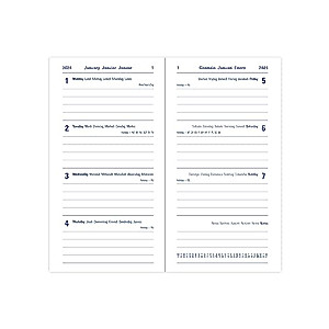 Letts Woodland Medium Pocket week to view 2024 diary - pink