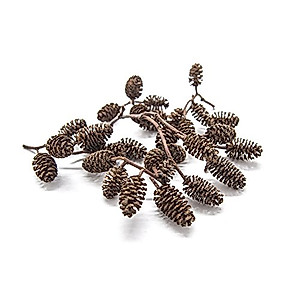 Aquatic Arts 50 Alder Cones | Shrimp Aquarium Decorations |pH Reducer & Buffering Water Treatment |Freshwater Fish Tank Supplies/Accessories