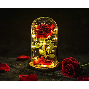 AGGUT Beauty and The Beast Rose,Forever Rose,Artificial Flower Gift Romantic Red Silk Rose,Flower in Glass Dome Women Gifts for Her,Wife,Mom,Valentines,Anniversary