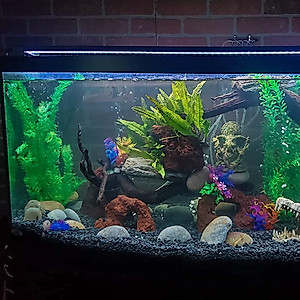 Anothera Stones for Plants 18 LB Smooth Natural Black River Rocks, Plant Aquarium Gravel Stones for Succulents Bonsai Terrarium Vase Fillers Fish Tank Indoor Outdoor Garden Decor（6-9 mm）