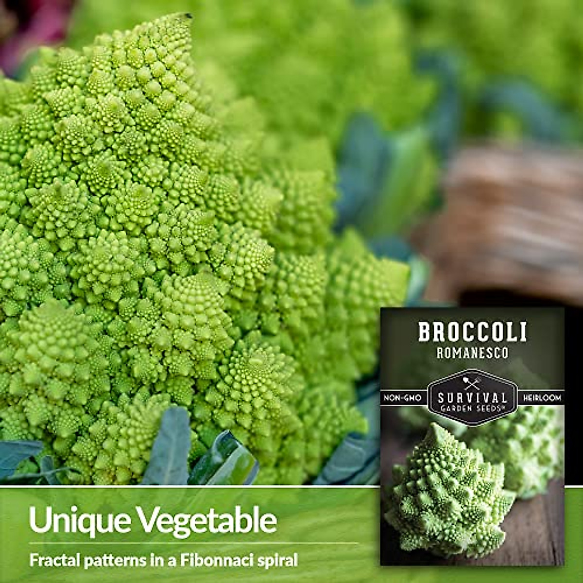 Survival Garden Seeds - Romanesco Broccoli for Planting - Packet with Instructions to Plant and Grow Delicious & Beautiful Fractal Broccoli Heads Your Home Vegetable Garden - Non-GMO Heirloom Variety