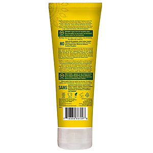 Desert Essence Lemon Tea Tree Shampoo - 8 Fl Ounce - Removes Excess Oil - Revitalizes Scalp - Strengthens & Protects Hair - Maca Root Extract - Soft, Smooth & More Manageable