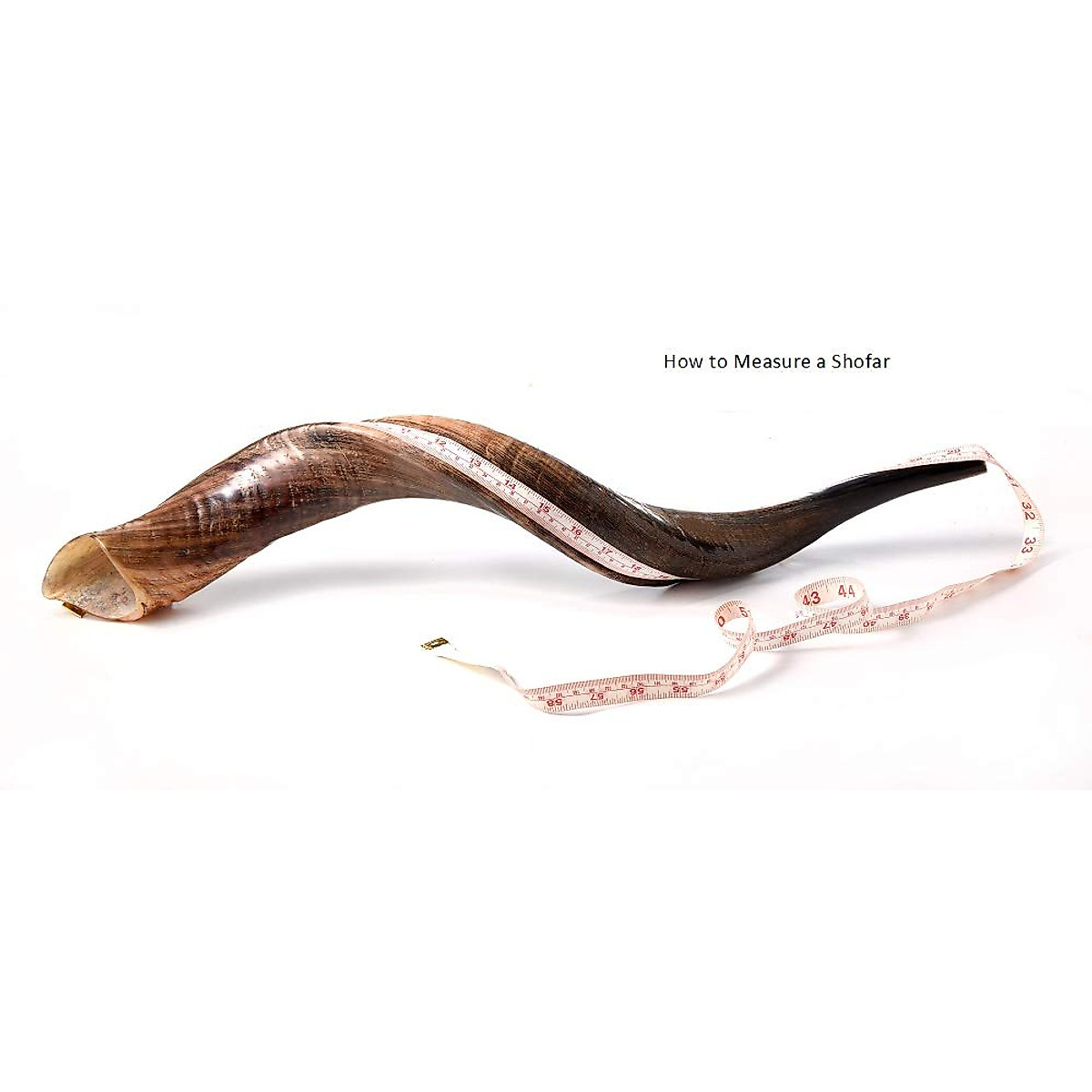 SHOFAR Set FULL Natural Kudu Horn Yemenite + Bag + Guide + Carrying Box Case (26"-28") Ship from Israel