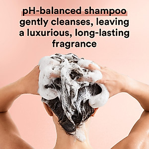 Suave Professionals Damage Repair Shampoo + Conditioner Coconut Oil, 28 Fl Oz (Pack of 4)