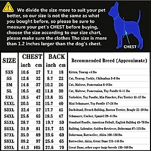 DAJIDALI Dog and Cat Shirt in Tech Fabric with Luminous Print, Pet Clothes for Large, Medium, and Small Dogs, 2-Pack of Lightweight Functional t-Shirts