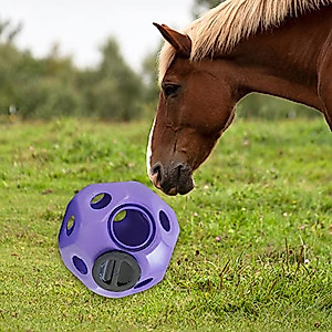 AMLESO Horse Treat Ball Hay Feeder Toy Ball Feeding Toy for Horse Sheep, Horse Stable Stall Paddock Rest, Purple