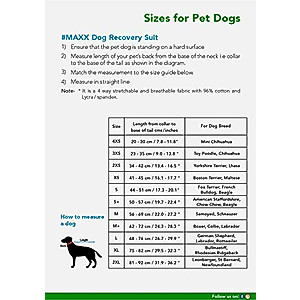 MAXX Recovery Suit for Dogs, E Collar Alternative, Post-Operative Onesie by Vet (Ruby Red Grey, M+)