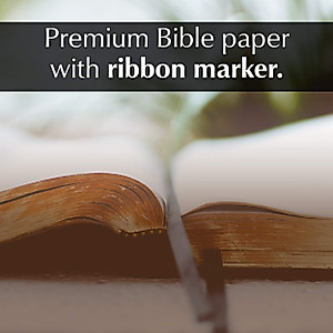 The Passion Translation New Testament, Burgundy, Large Print (Faux Leather) – In-Depth Bible with Psalms, Proverbs, and Song of Songs, Makes a Great Gift for Confirmation, Holidays, and More