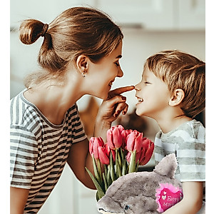 DolliBu Happy Mother's Day Super Soft Plush Grey Dolphin Doll Figure - Cute Stuffed Animal with Pink Heart Message for Best Mommy, Grandma, Wife, Daughter - 12.5" Inch