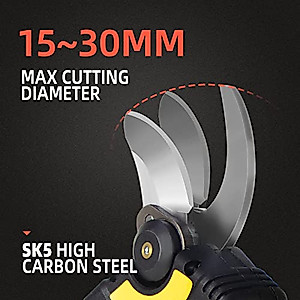 Cordless Pruning Shears, Electric Pruner with 2 Pack 21V Lithium Battery, SK5 Blades, 1.2 Inch Cutting Diameter (21V pruner)