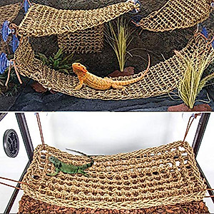 PINVNBY Bearded Dragon Tank Accessories,Reptiles Resin Human Skull Habitat Decor,Lizard Hammock Coconut Shell Hut Hideouts Cave Jungle Climber Vines Leaves Decorations for Chameleon Snake Spider Gecko