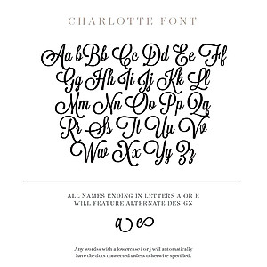 Personalized Custom Wooden Name Sign - CHARLOTTE Font Baby Name Sign For Nursery and Wall Decor (12"-55" Wide) - PAINTED Wood Letter Nursery Decor - Wall Art For Girl or Boy Room By 48 Hour Monogram