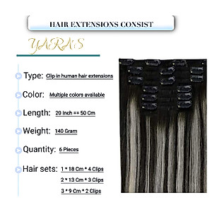 6 PCS Synthetic Straight Hair Extensions Clip in human hair 20 INCH 140 Gram Thick hairpieces Dark Brown Blonde Black Wigs with Comb for Women and Girls Full Head (20 INCH, Natural Black to Light Blonde)