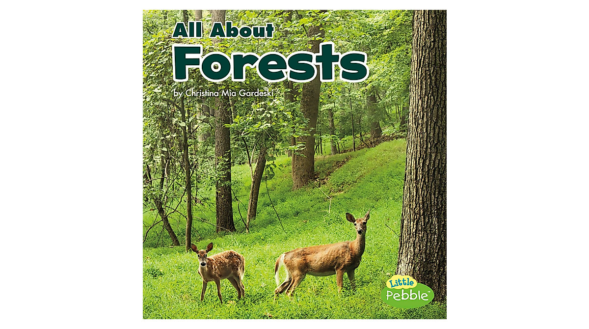 All About Forests Habitats for Young Readers | Nature Book