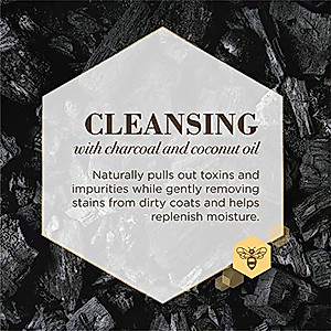 Burt's Bees for Pets Care Plus+ Naturally Derived Deep Cleansing Charcoal & Coconut Oil Shampoo - Dog Shampoo to Naturally Derivedly Purify and Replenish Dog's Skin & Coat - Made in USA, 16 Oz