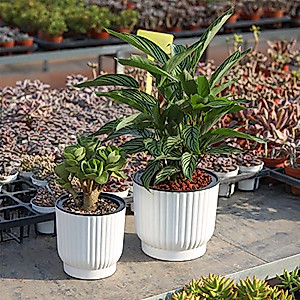 T4U 6 Inch Self Watering Pots for Indoor Plants, 6 Pack White Plastic Flower Pots for All House Plants, Flowers, African Violets