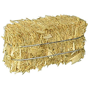 FloraCraft 12 Piece Decorative Straw Bale 1 Inch x 1.25 Inch x 2.5 Inch Natural