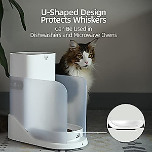 CATLINK Automatic Cat Feeder, 3.5L WiFi Smart Cat Dispenser with Ceramic Bowl for Dry Food/Freeze-Dried, Timed Cat Feeder, Portion Control, App Control with Health Report for One Cat (Young Green)