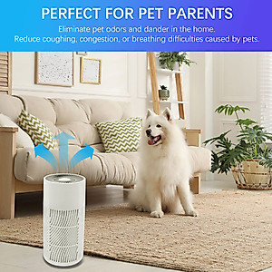 Nuwave Air Purifiers for Home Large Room Up to 857ft², XXL H13 True HEPA Air Purifier for Bedroom 17dB, 3 Fan Speeds, 0.3 Microns, Remove 99.97% of Airborne Dust, Smoke, Pollen, Pet Hair, Odor