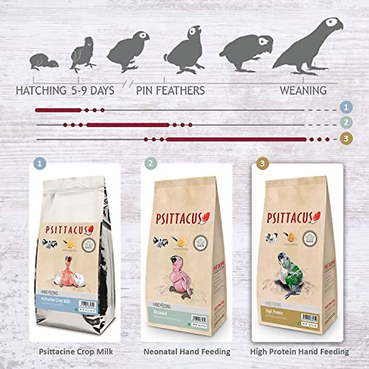 Psittacus High Protein Hand-Feeding Formula 2.2 lb | Diet for Baby Amazons, Cockatoos and Ringneck Parakeets | Premium Food for Birds, 100% no-GMO