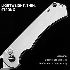 NedFoss COUGAR Folding Pocket Knife, 2.98" Sandvik 14C28N Blade, Lightweight Steel Handle, Sharp Button Lock Knife for EDC, Steel Pocket Clip, Razor Utility knife, Pocket Knife for Men and Women