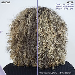 Redken Blondage High Bright Shampoo  | Brightens and Lightens Color-Treated and Natural Blonde Hair Instantly | Infused with Vitamin C | 10.1 Fl Oz