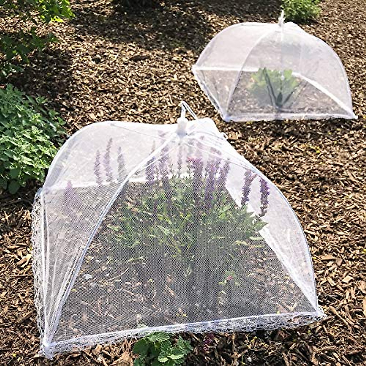 Camkey 6 Pack Dome Screen Mesh Food and Plant Covers，Reusable 17" Large Pop-Up Mesh Food Cover Tent, Collapsible Screens Canopy Food Cover Protector from Flies and Bugs for Outdoor and Home Use