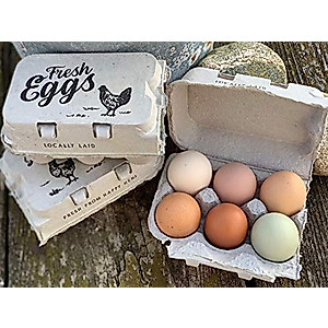 Half Dozen Empty Egg Cartons- 15 Full Dozen Can Split to 30 Half Dozen Size Cartons- Securely Holds 6 or 12 Extra Large Eggs