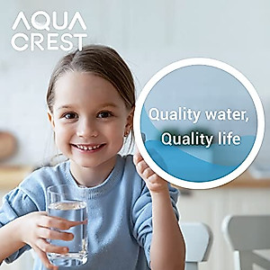 AQUA CREST FQROPF, FQSLF Under Sink Water Filter, Replacement for FQROPF, FQSLF, GXSV65R, GQSV65R, PXRQ15F, PNRQ15F, NSF 42 Certified (2 Pack), Model No.AQU-FF23-PF