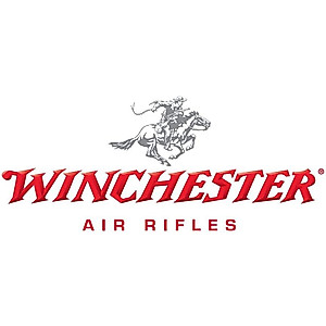 Winchester 1977XS Dual Ammo Pellet BB 1000 FPS Air Rifle (991977-402)