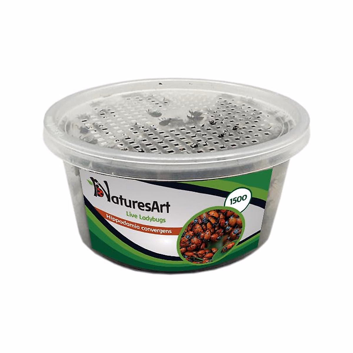 NaturesArt 1500 Live Ladybugs - Good Bugs for Garden - Ladybug Guaranteed Live Delivery* - Plastic Box, Container, Case.