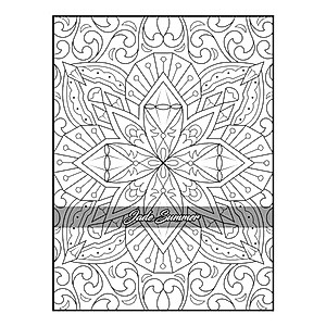 100 Amazing Patterns: An Adult Coloring Book with Fun, Easy, and Relaxing Coloring Pages