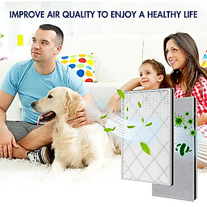 2 Pack HE601 H13 True HEPA Replacement Filter Compatible with Shark Air Purifier 6-Fan HE601 HE602,H13 True HEPA Filter, Compare to Part # HE6FKPET, HE6FKBAS, HE6FKPRO