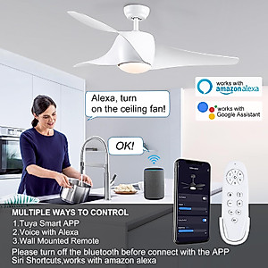 SNJ Smart Ceiling Fans with Lights and Remote, 52" White Ceiling Fan with Light, Modern Ceiling Fans with Remote/APP/Alexa Control, 3 Reversible Blades, Dimmable, Ceiling Fan for Bedroom Dining Room