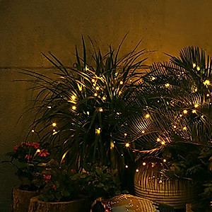 LALAPAO 2 Pack Super-Long Solar String Lights 85FT 240 LED 8 Modes Solar Powered Outdoor Lighting Waterproof Christmas Fairy Lights for Xmas Tree Garden Homes Wedding Lawn Party Decor(Warm White)