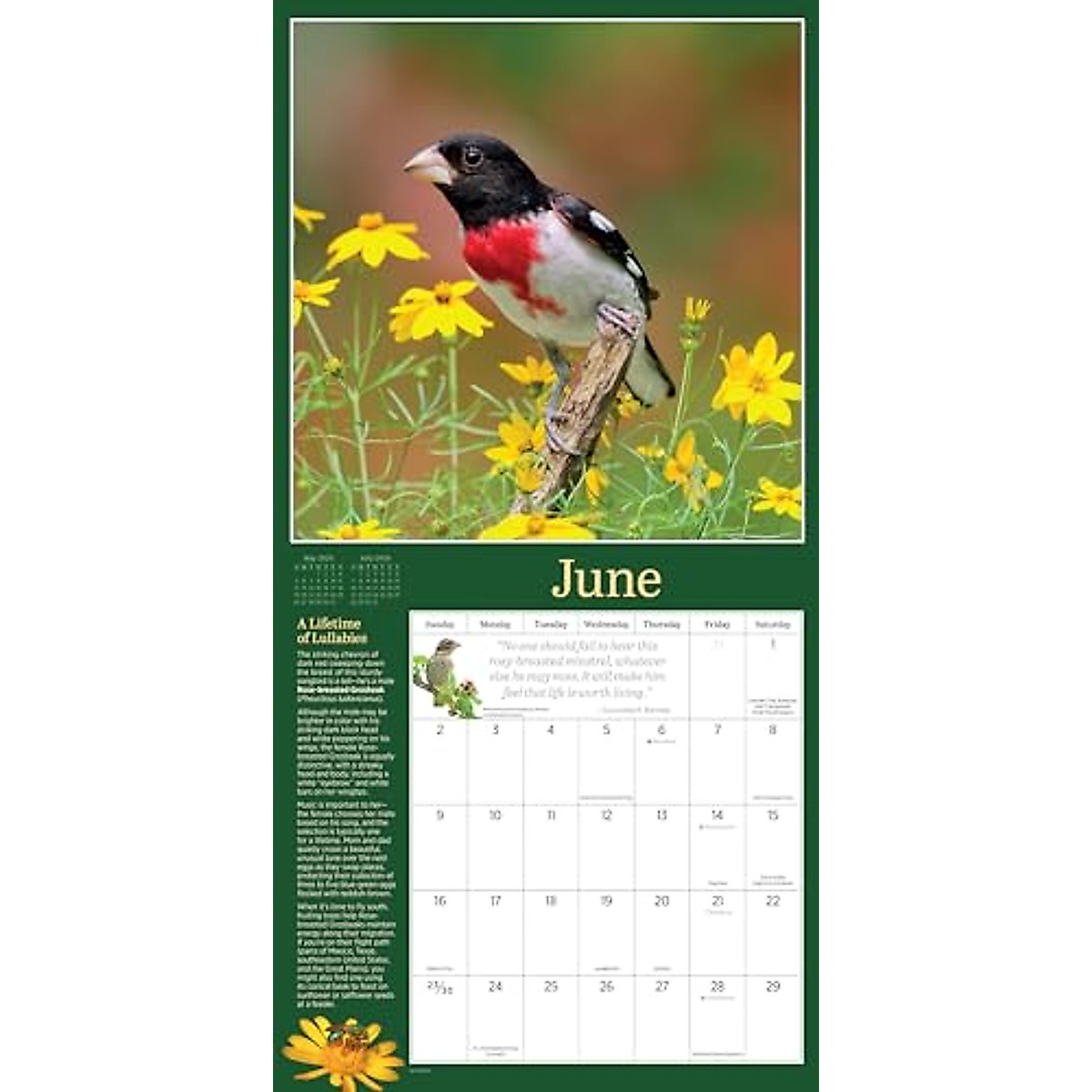 Audubon Birds in the Garden Wall Calendar 2024: Use Native Plants to Attract Birds and Pollinators to Your Backyard