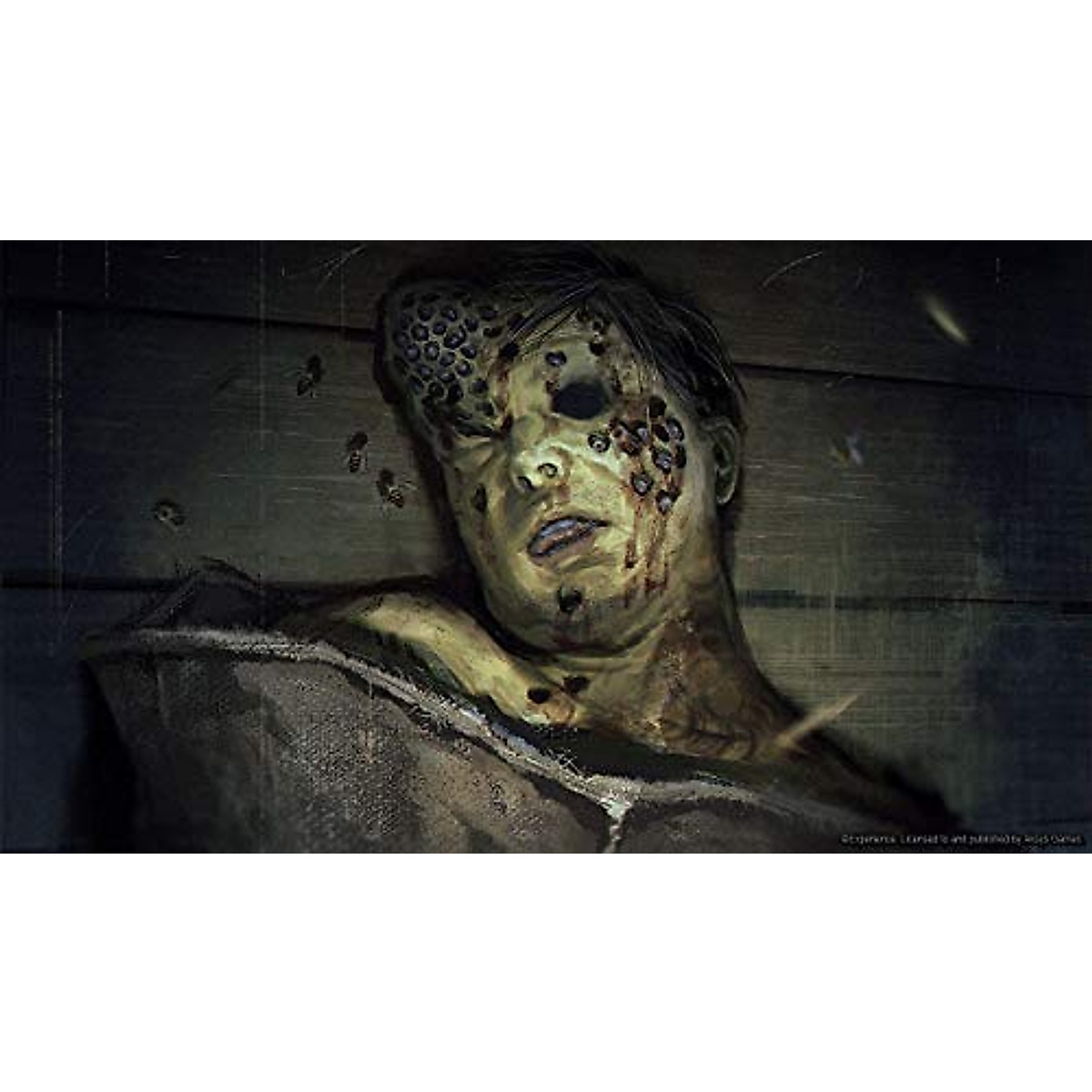 Spirit Hunter: Death Mark Limited Edition - PlayStation Vita