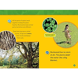 Plants (National Geographic Kids Readers, Level 1/Co-Reader)