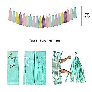Pastel Rainbow Party-Decorations Supplies Streamers-Garland - 29pcs Baby Shower Birthday Wedding Tissue Pom Poms,Tassel Banner Backdrop Decor Bunting Lasting Surprise