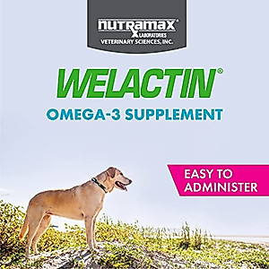 Nutramax Welactin Daily Omega-3 Supplement For Dogs, Skin & Coat Health Plus Overall Health, 60 Soft Chews