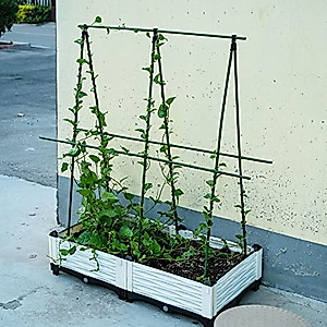 Garden Plant Stakes 24 Inch 2Ft Steel Plant Stick Support, Tomato Stakes for Growing Climbing Plants, Pack of 25