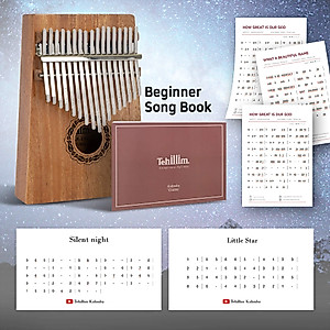 Tehillim Kalimba 17 Keys Thumb Piano with Hard Case, Study Instruction and Tunning Hammer, Portable Mibra Sanza African Wood Finger Piano, Gift for Kids Adult Beginners Professional (Mahogany wood)