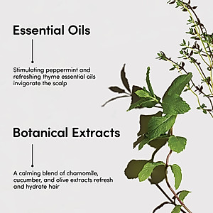 LATHER Mint Thyme Shampoo Hair Wash - Invigorating Sulfate-Free Gentle Shampoo - Natural Shampoo With Peppermint Oil, Green Tea, Mint & Thyme - 8 Oz Bottle