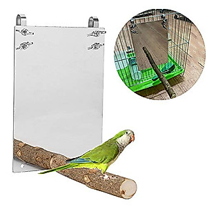 Bird Mirror, Stainless Steel Medium Small Parrots Mirror Bird Mirror Toy with Wooden Standing Rod for Parrot Parakeet Cockatiels