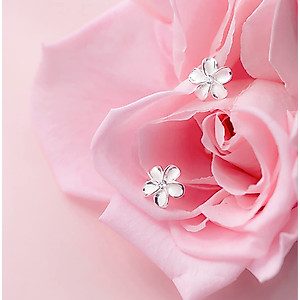 Reffeer Solid 925 Sterling Silver Plumeria Flower Stud Earrings for Women Teen Girls Crystal Flower Stud Earrings (A-Silver)